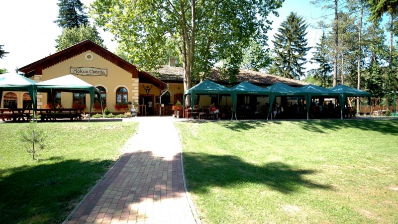 Pósteleki parkerdő